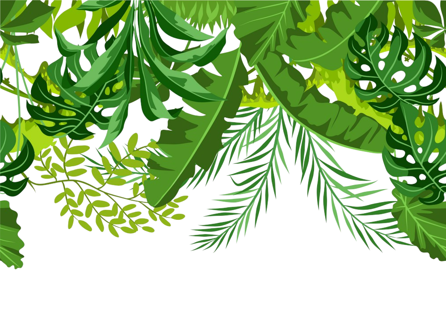 Jungle Jungle